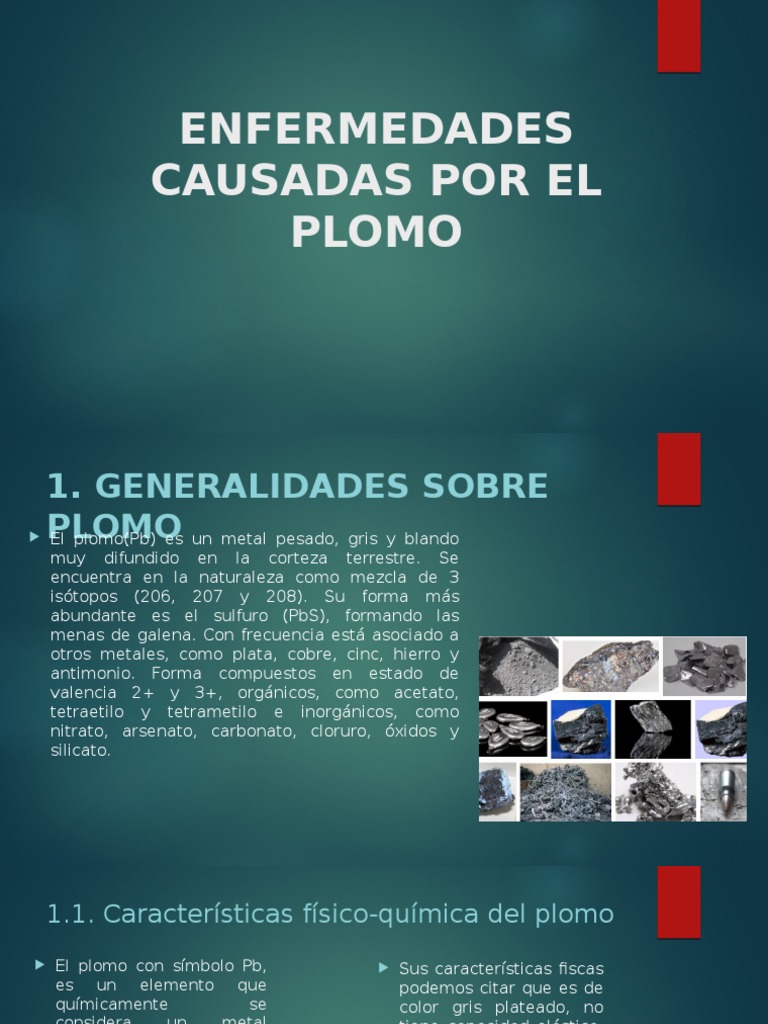 Enfermedades Causadas Por El Plomo | Dirigir | Rieles