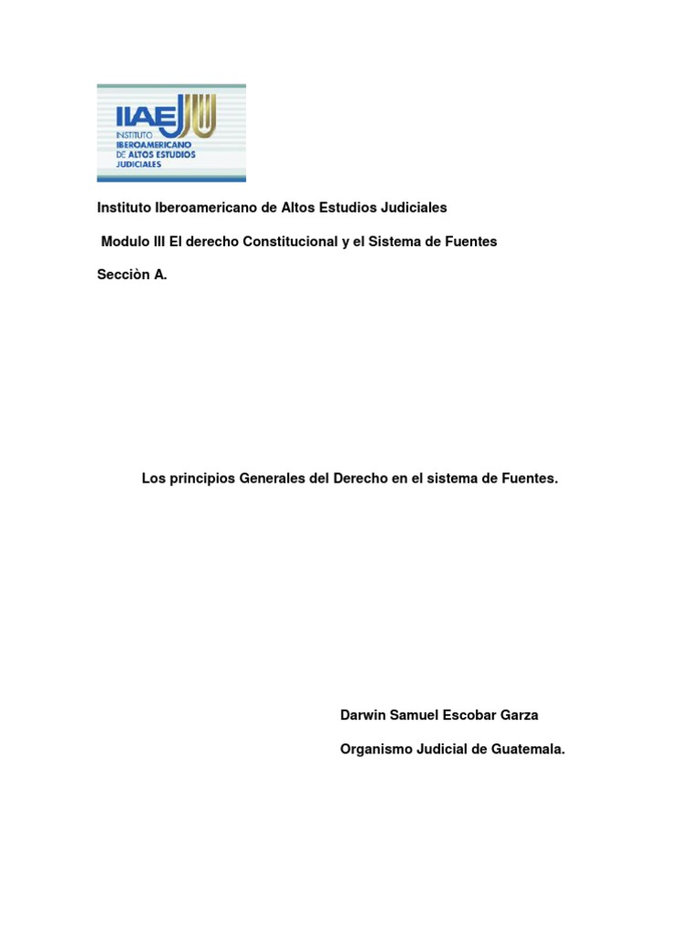 Principios Generales Del Derecho En El Sistema De Fuentes Pdf