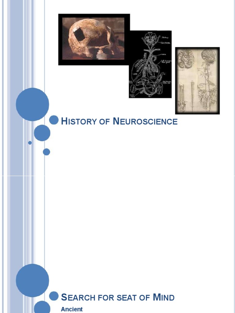 Neuroscience | PDF | Neuroscience | Nervous System
