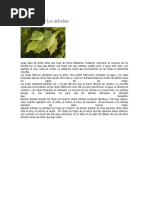 Efectos Del Otoño en Los Árboles | PDF | Fotosíntesis | Hoja