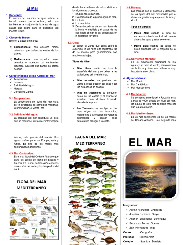 El Mar - Triptico | PDF | Mar | Océanos