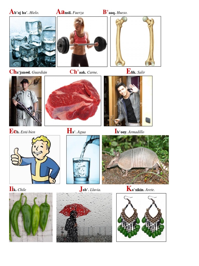 Abecedario en Poqomchi NORMAL | PDF | Organismos