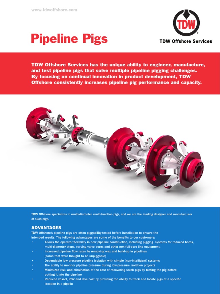 TDW Offshore Pig Brochure | PDF | Pipeline Transport | Mechanical ...