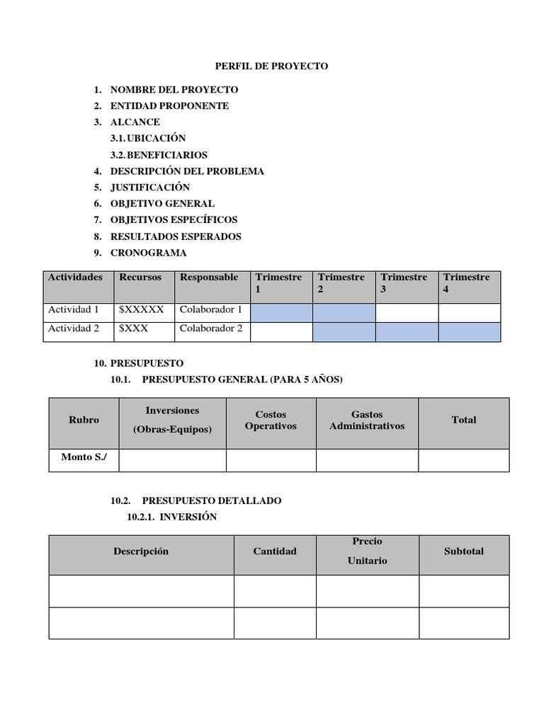 Perfil de Proyecto | PDF | Informática