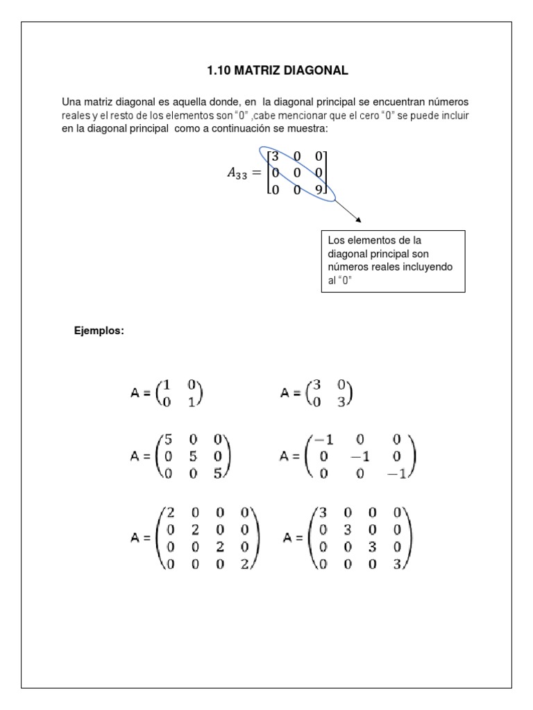 1.10 Matriz Diagonal PDF | PDF | Funciones y mapeos | Relaciones ...