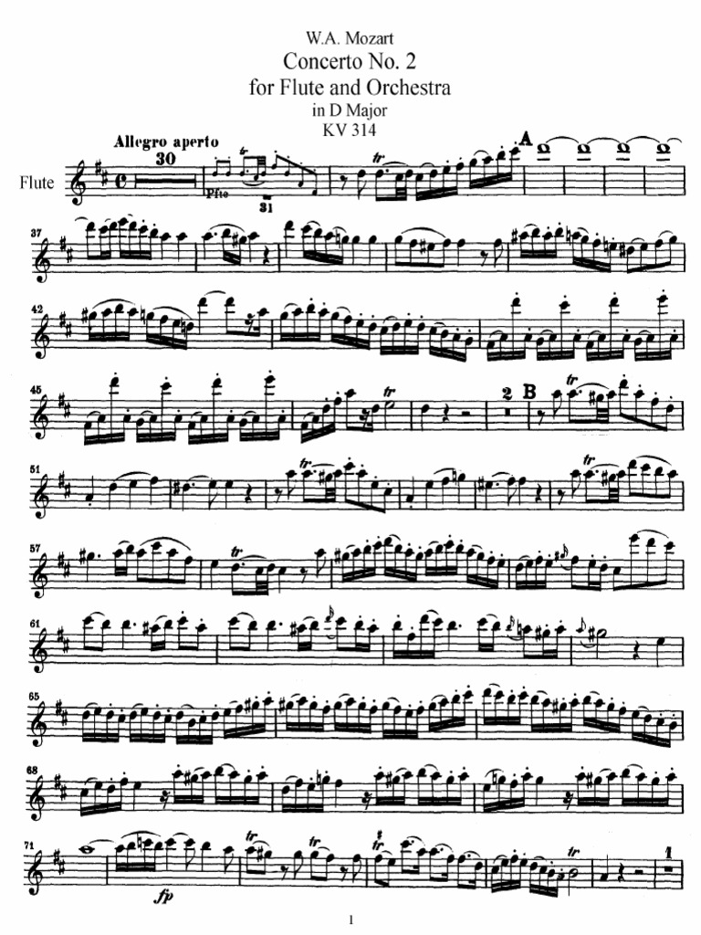 Mozart - Flute Concerto in D major, K.314.pdf