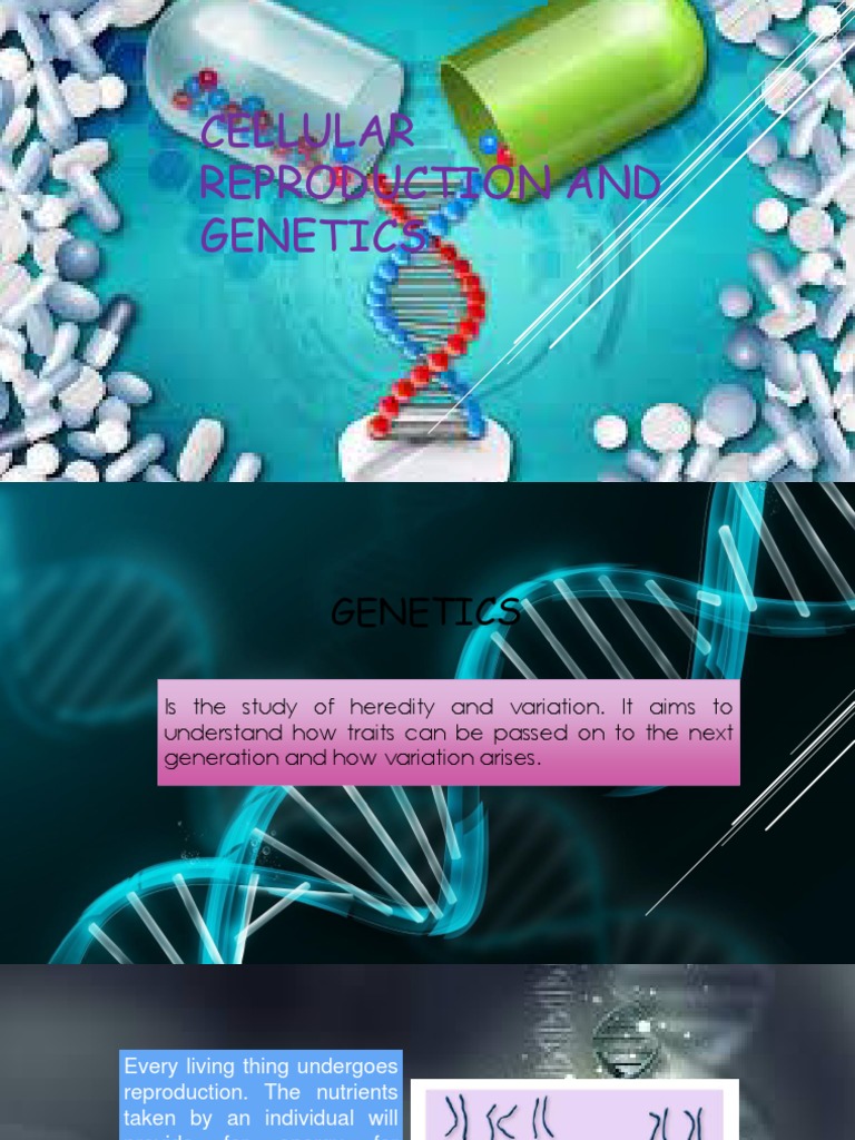 Cellular Reproduction and Genetics | PDF | Mitosis | Chromosome