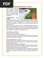 Ciclo de Vida del Conejo para Niños | PDF