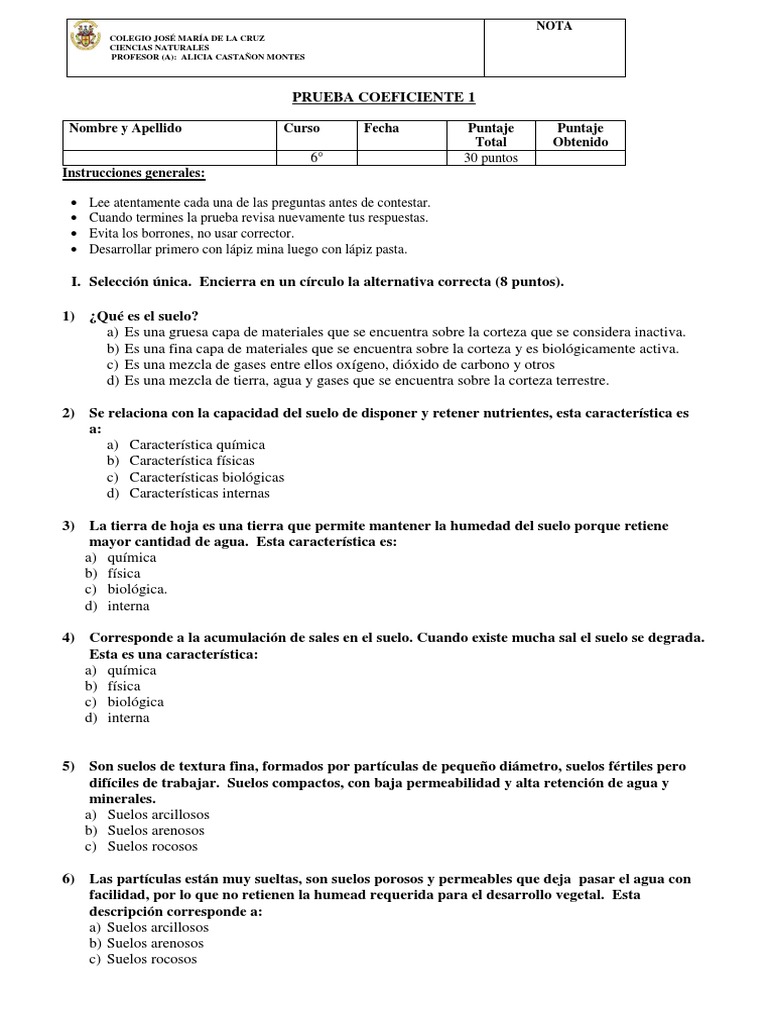Prueba Del Suelo 7° Año | PDF | Suelo | Carbón