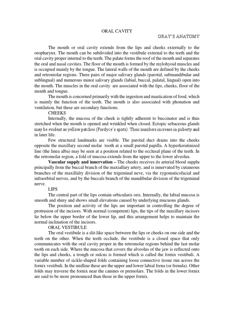 Vascular Supply and Innervation - The Cheeks Receives Its Arterial ...