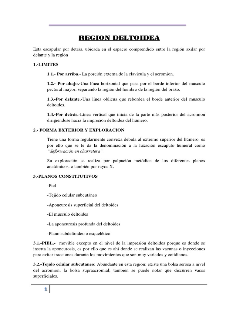 Resumen Region Deltoidea | PDF | Hombro | Articulación
