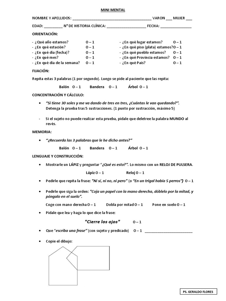 Mini Mental | PDF