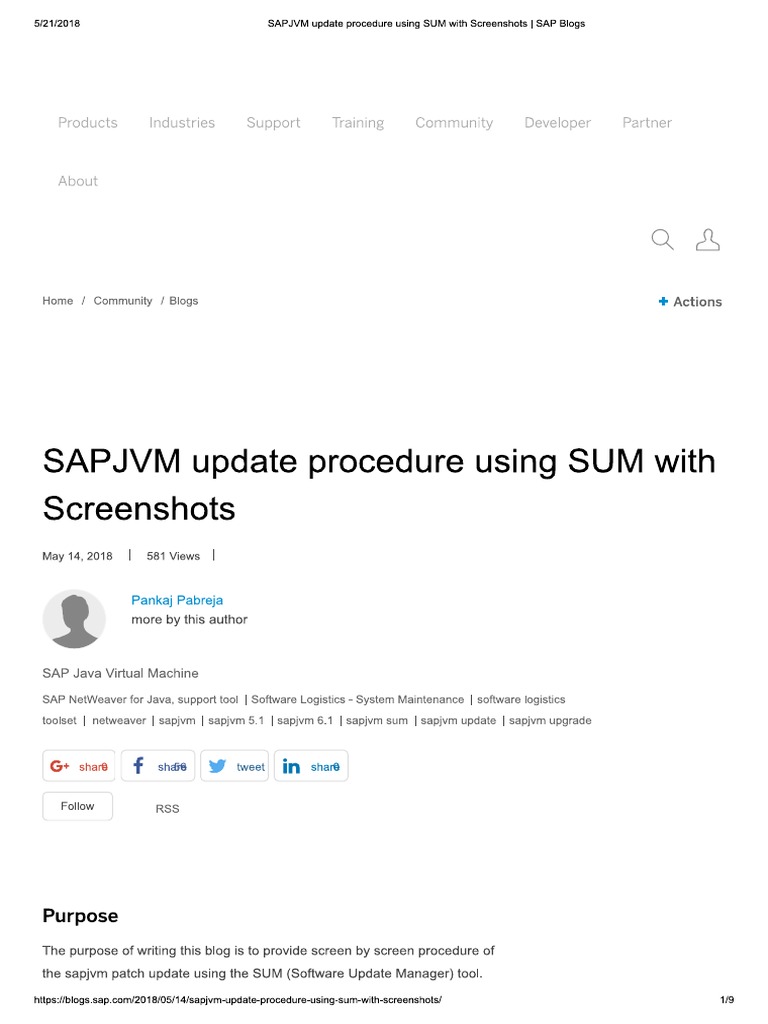 SAPJVM Update Procedure Using SUM With Screenshots - SAP Blogs | PDF