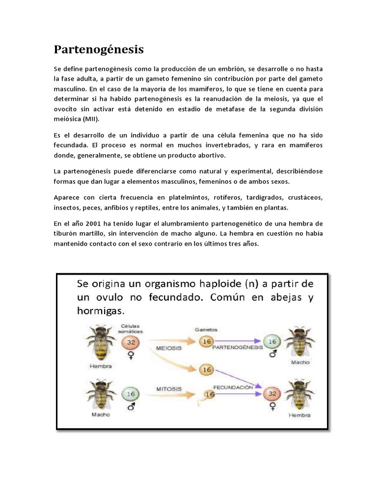 Partenogenesis y Gynogenesis | Descargar gratis PDF | Sexo | Reproducción