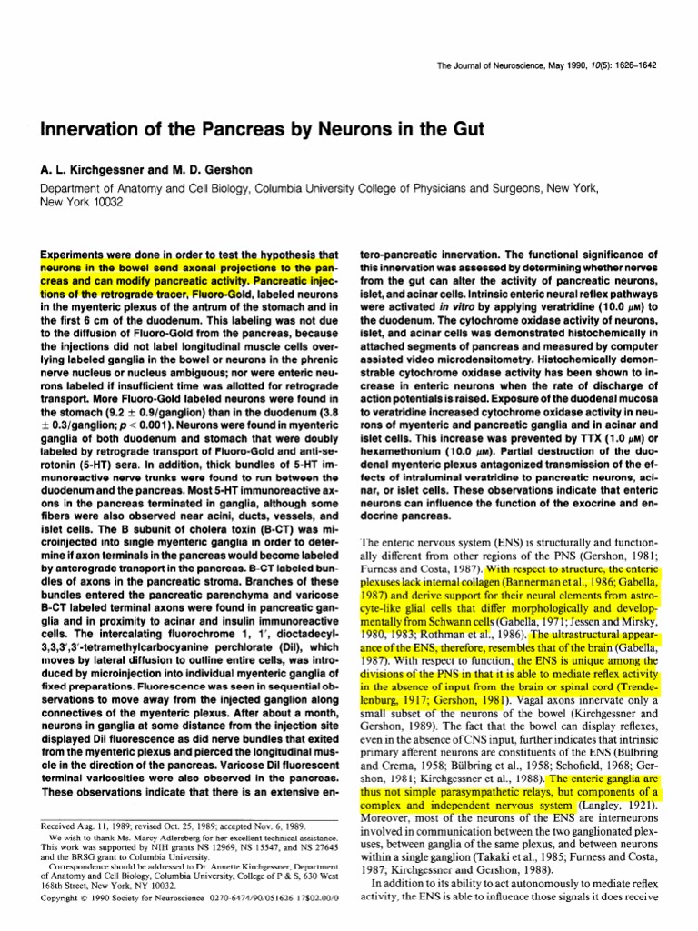 Innervation of The Pancreas by Neurons in The Gut | PDF | Pancreas ...