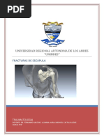 Clasificación de Seibert Los Defectos Del Reborde Alveolar | PDF