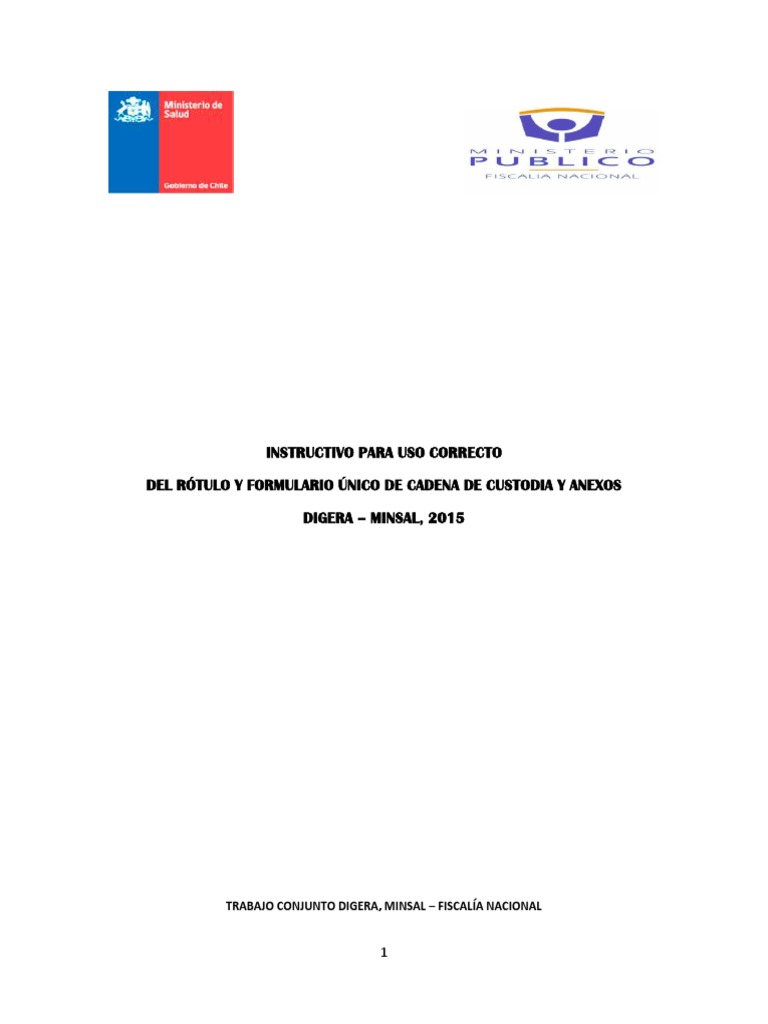 Guia Del Rótulo y Formulario Único de Cadena de Custodia Chile ...