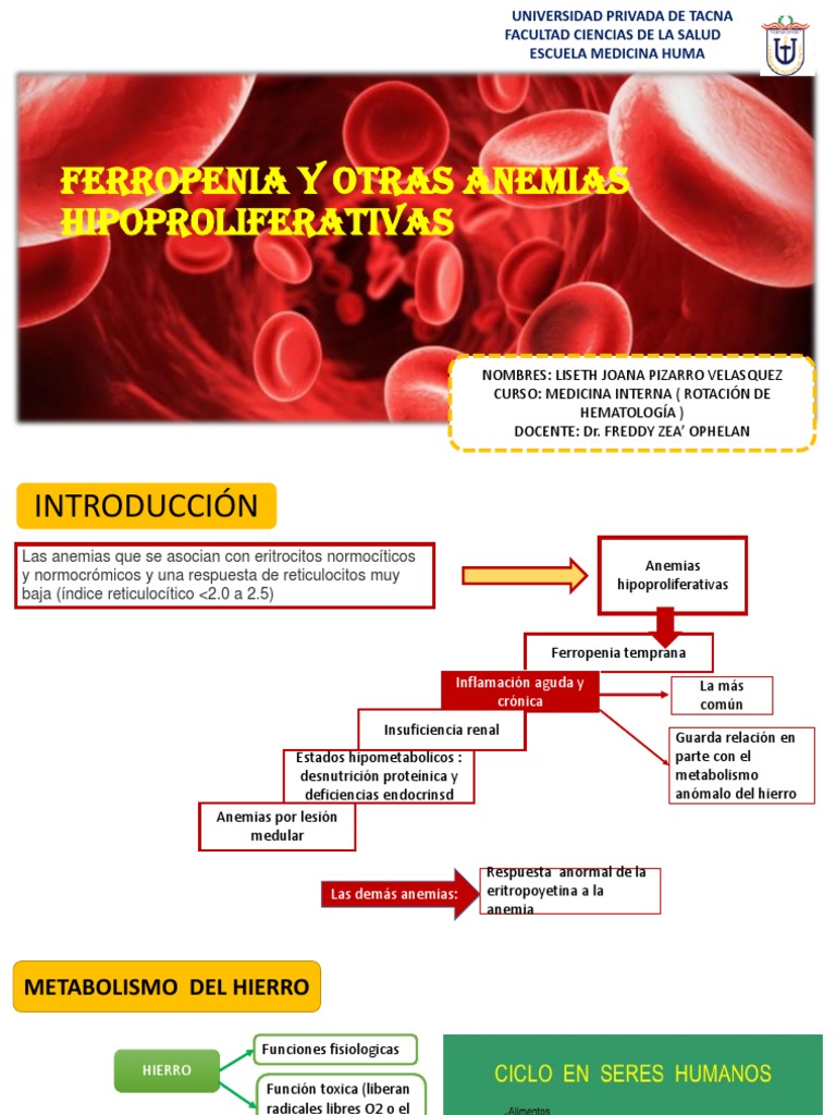 Ferropenia y Otras Anemias Hipoproliferativas | Anemia | Especialidades ...