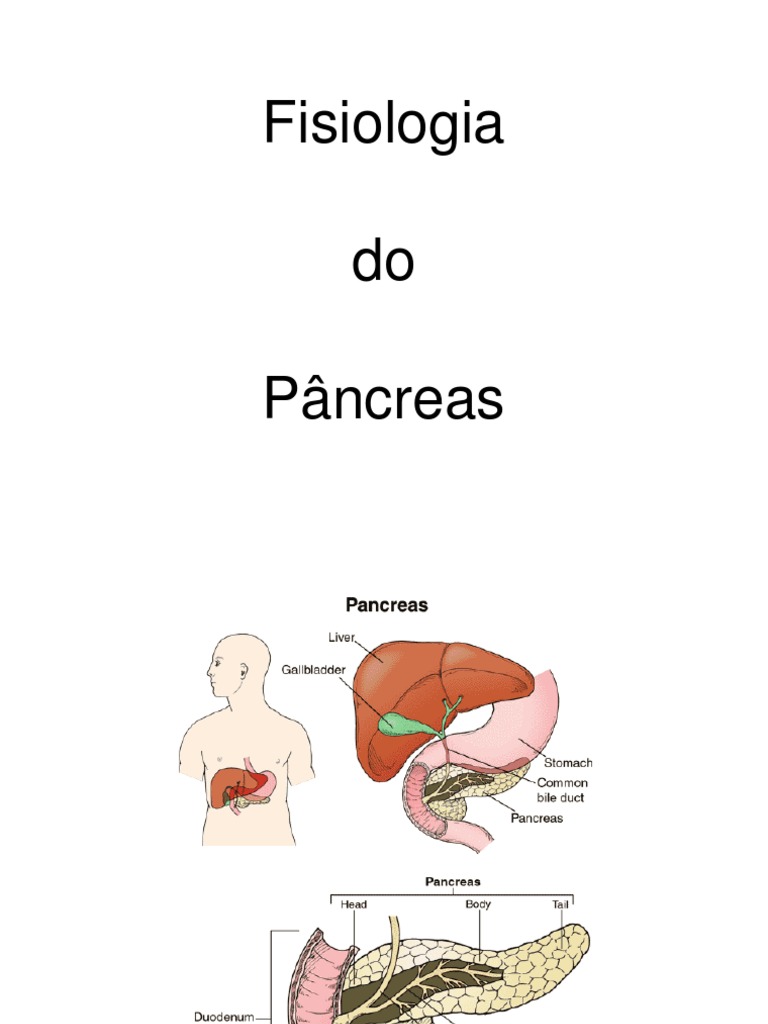 1 - Pancreas e Diabetes | PDF | Diabetes mellitus | Metabolismo