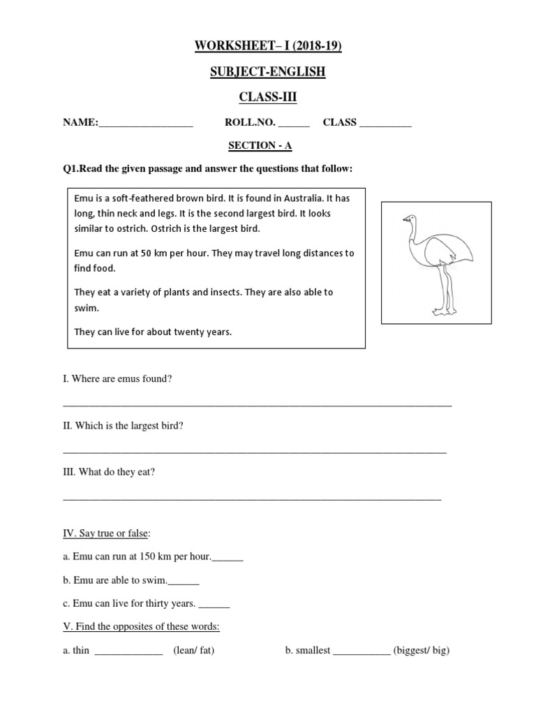 Class-3 Army School Holiday Homework | PDF | Nature