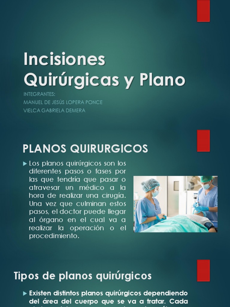 Incisiones Quirúrgicas y Plano | PDF | Abdomen | Músculo
