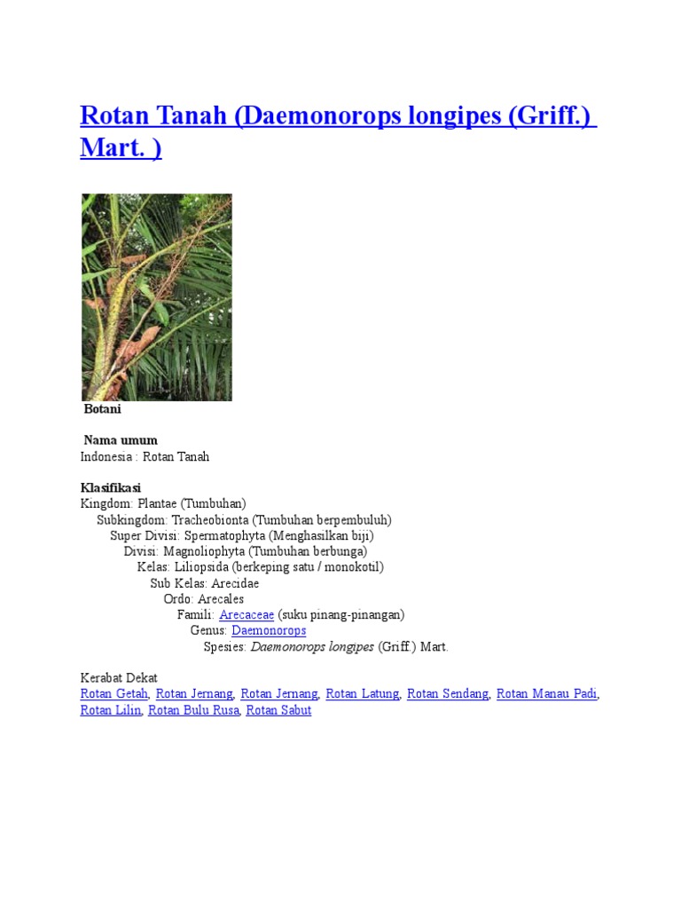 DAFTAR JENIS ROTAN INDONESIA | PDF