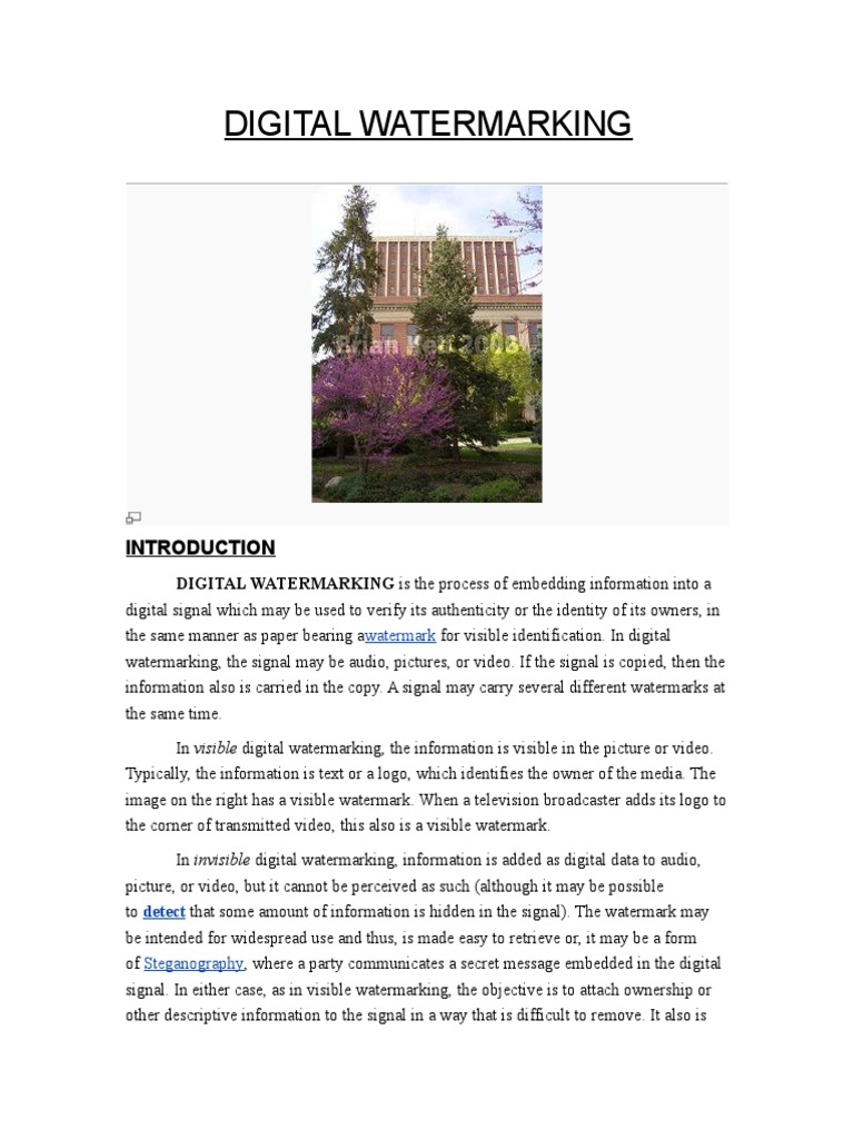 Digital Watermarking | PDF | Digital Technology | Information And ...