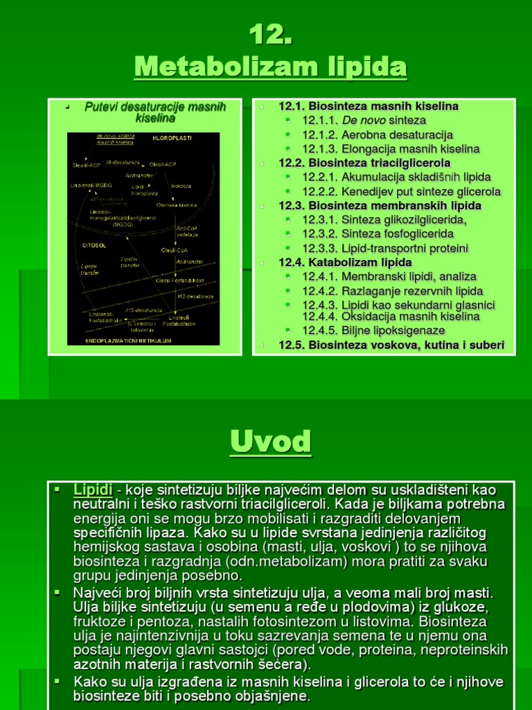 Metabolizam Lipida | PDF