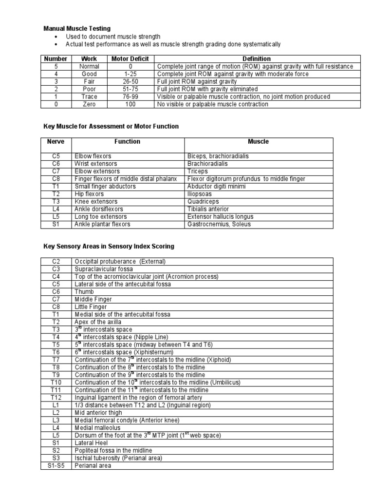 Manual Muscle Testing: RD TH TH TH TH TH TH TH TH | PDF | Anatomical ...