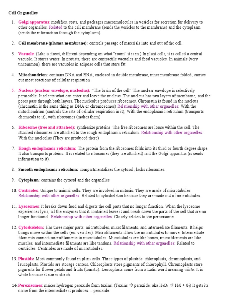 Freshman Year Organelles | PDF | Cell Nucleus | Cell (Biology)