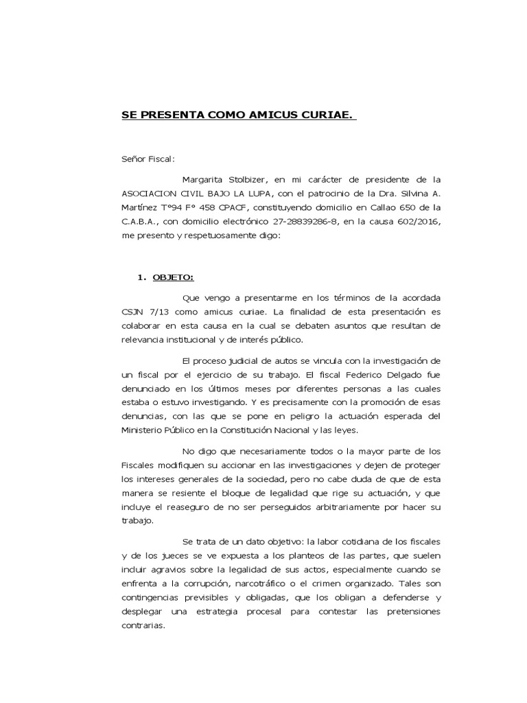 Escrito Amicus Curiae | PDF | Amicus Curiae | Derecho penal