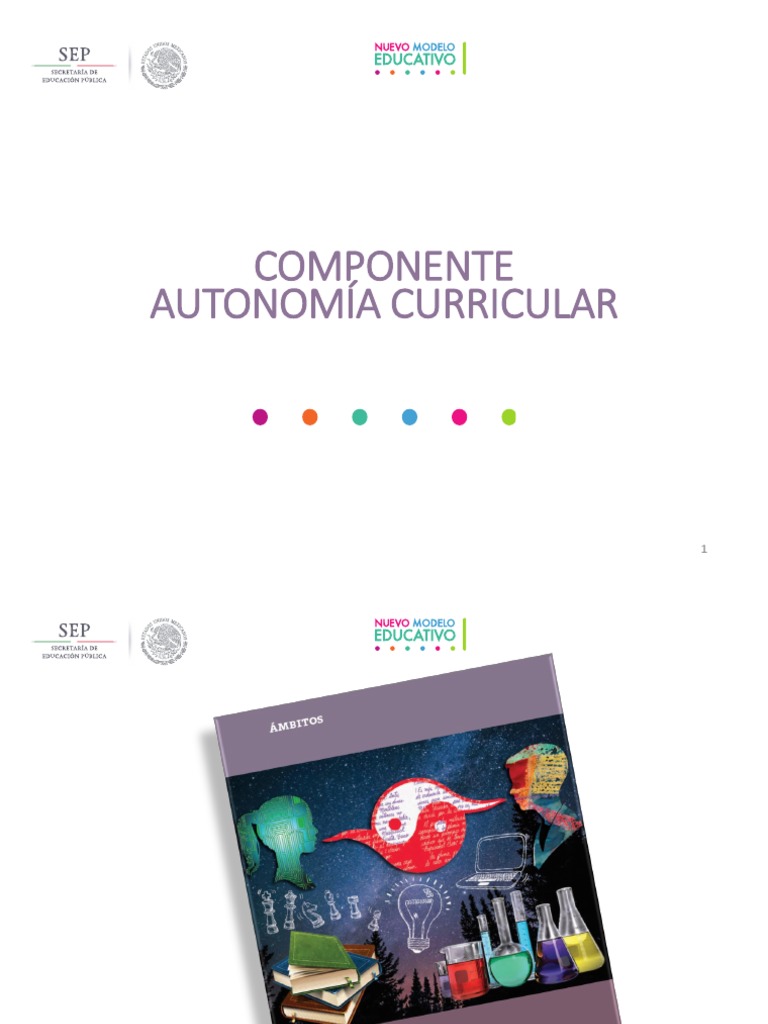 Autonomia Curricular 31mayo2017 - V3 Luis René | PDF | Educación ...