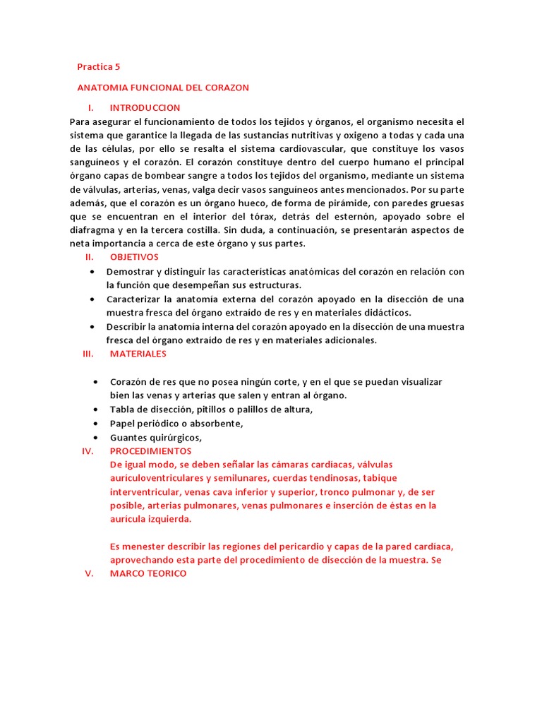 Anatomia Funcional Del Corazon p5 | PDF | Artería | Corazón