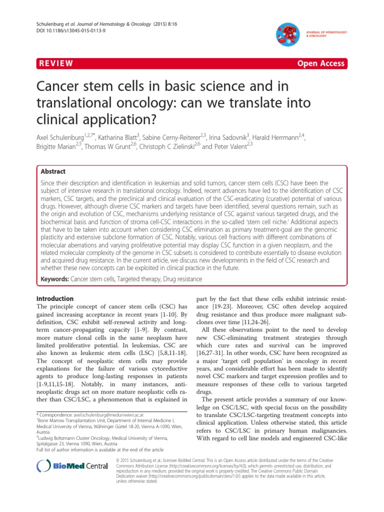 Cancer Stem Cells in Basic Science and in Translational Oncology: Can ...