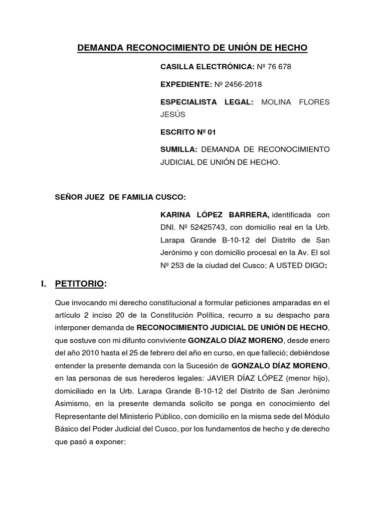 Demanda Reconocimiento de Unión de Hecho | PDF | Matrimonio | Principios éticos