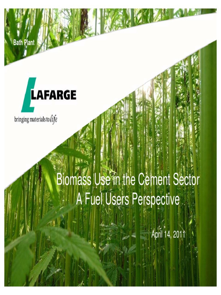 Biomass Fuel in Cement Industry Insights | PDF | Biomass | Cement