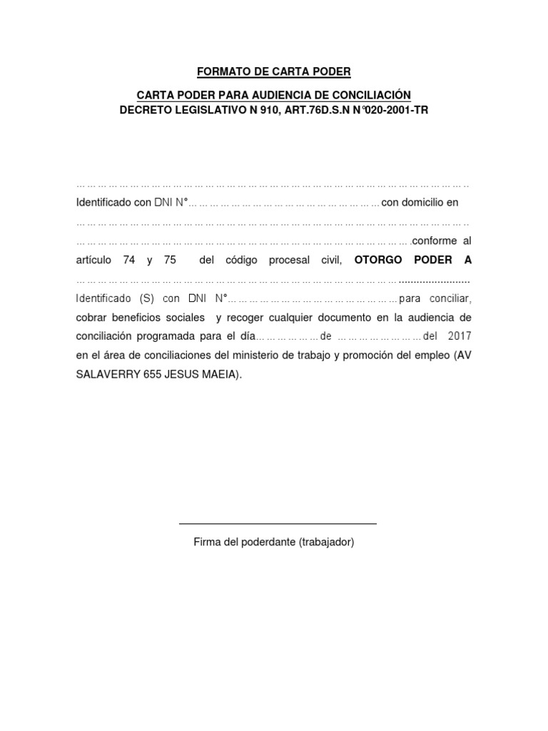 Formato de Carta Poder | PDF