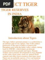Tiger Project | PDF | Tiger | Environmental Social Science