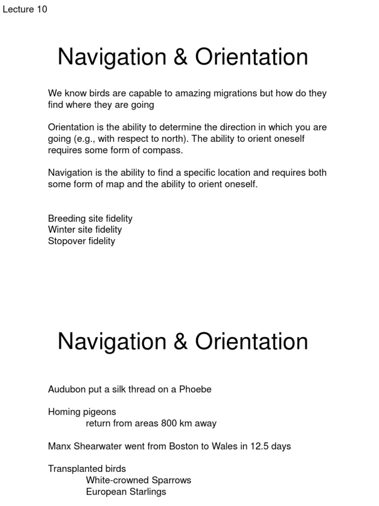 Navigation & Orientation | PDF | Bird Migration | Earth's Magnetic Field