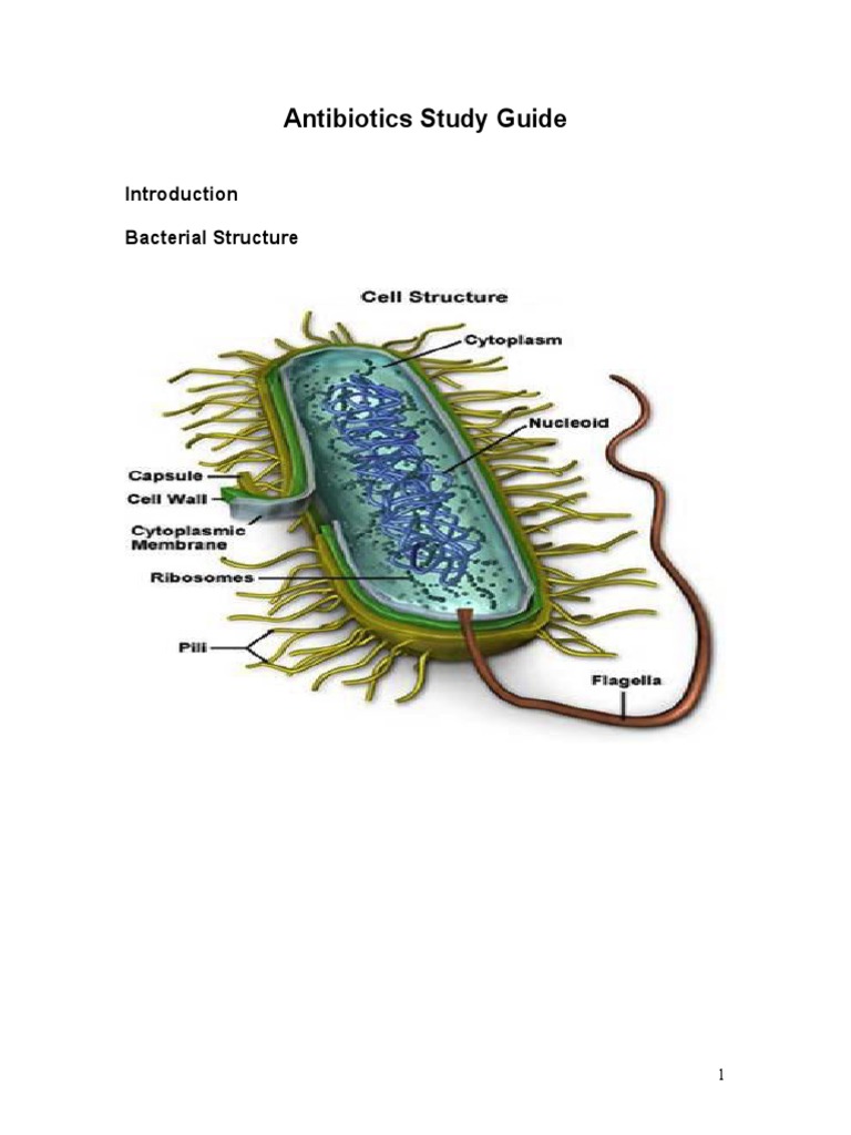 Antibiotics Study Guide 2017 | Download Free PDF | Gram Positive ...