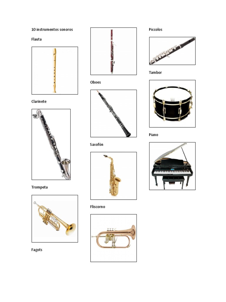 10 Instrumentos Sonoros | PDF