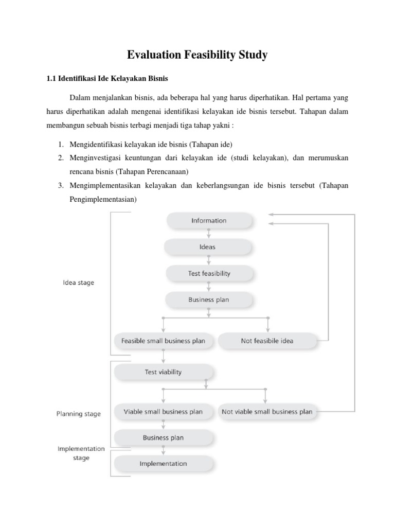 Feasibility Study | PDF