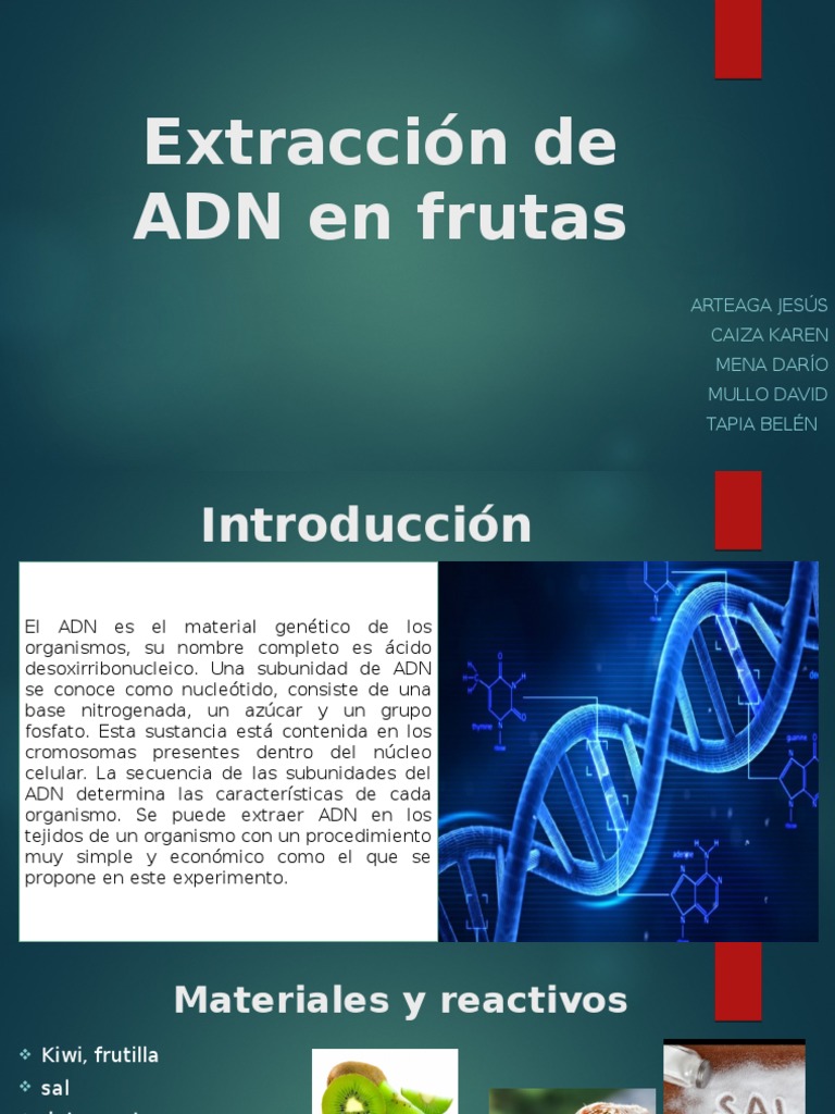 Extracción de ADN en Frutas | PDF | Adn | Biología Molecular