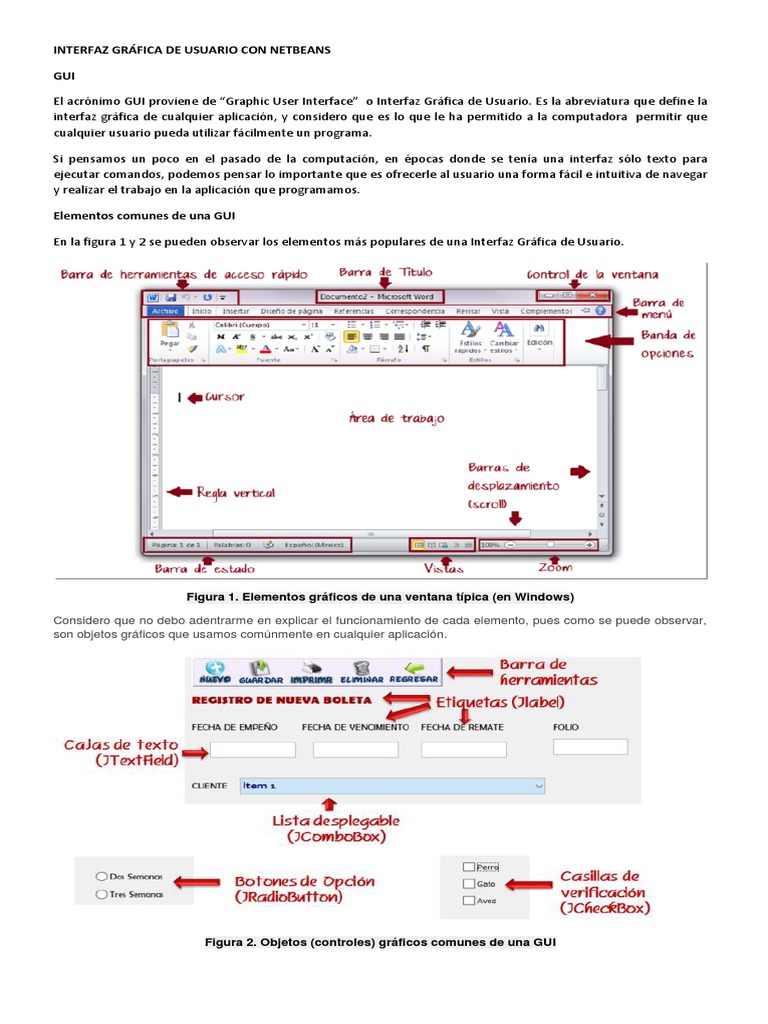 Desarrollo de una aplicación GUI básica con NetBeans | PDF | Interfaces ...