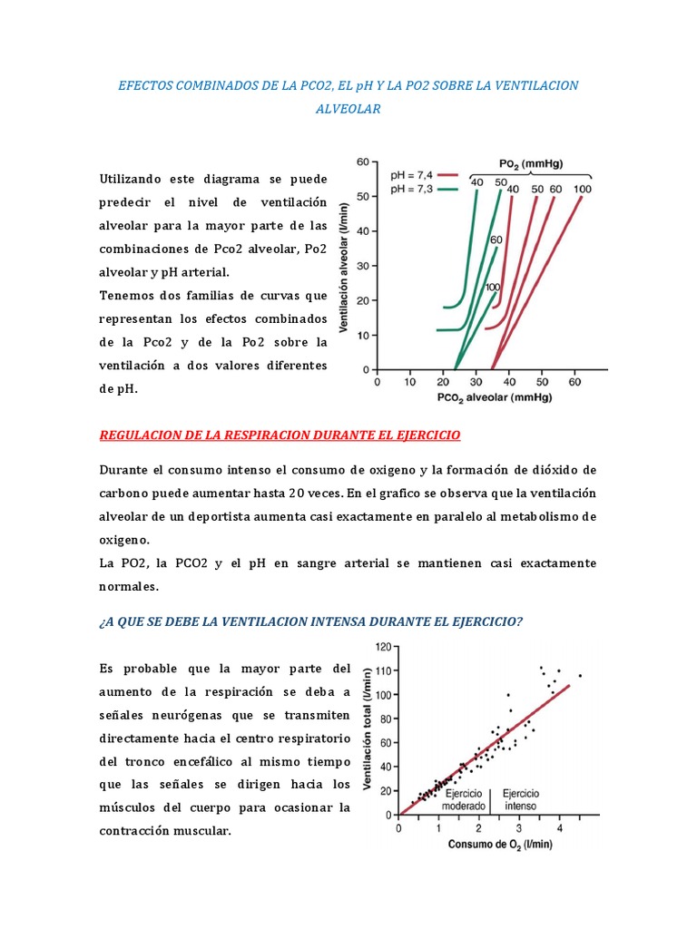 Efectos Combinados de La Pco2 | Sistema respiratorio | Respiración
