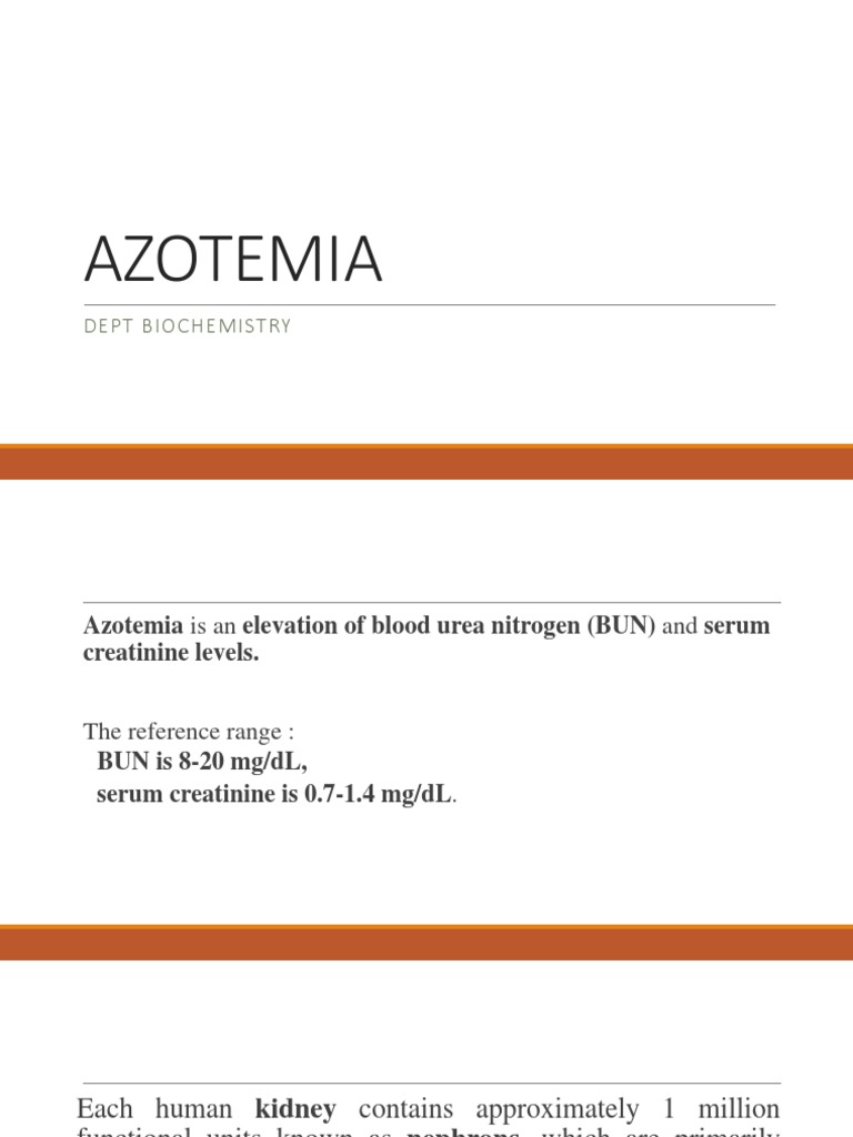Understanding Azotemia: A Comprehensive Review of the Pathophysiology ...