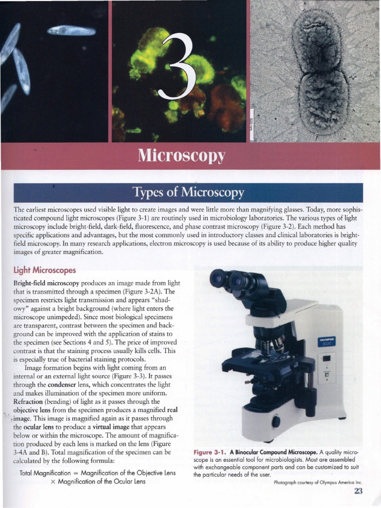 Micros PDF | PDF | Microscope | Electron Microscope
