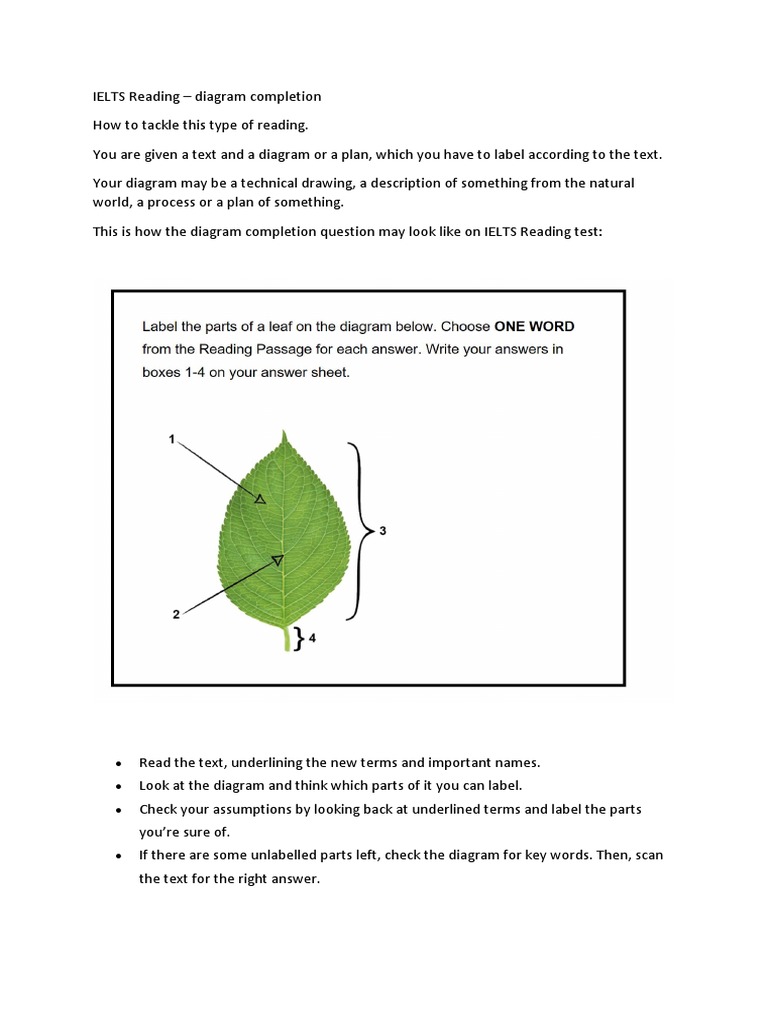 IELTS Reading Diagram Completion - Leaf | PDF