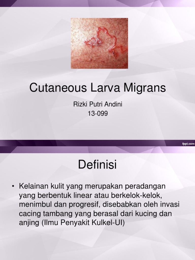 Cutaneous Larva Migrans | PDF | Sains & Matematika