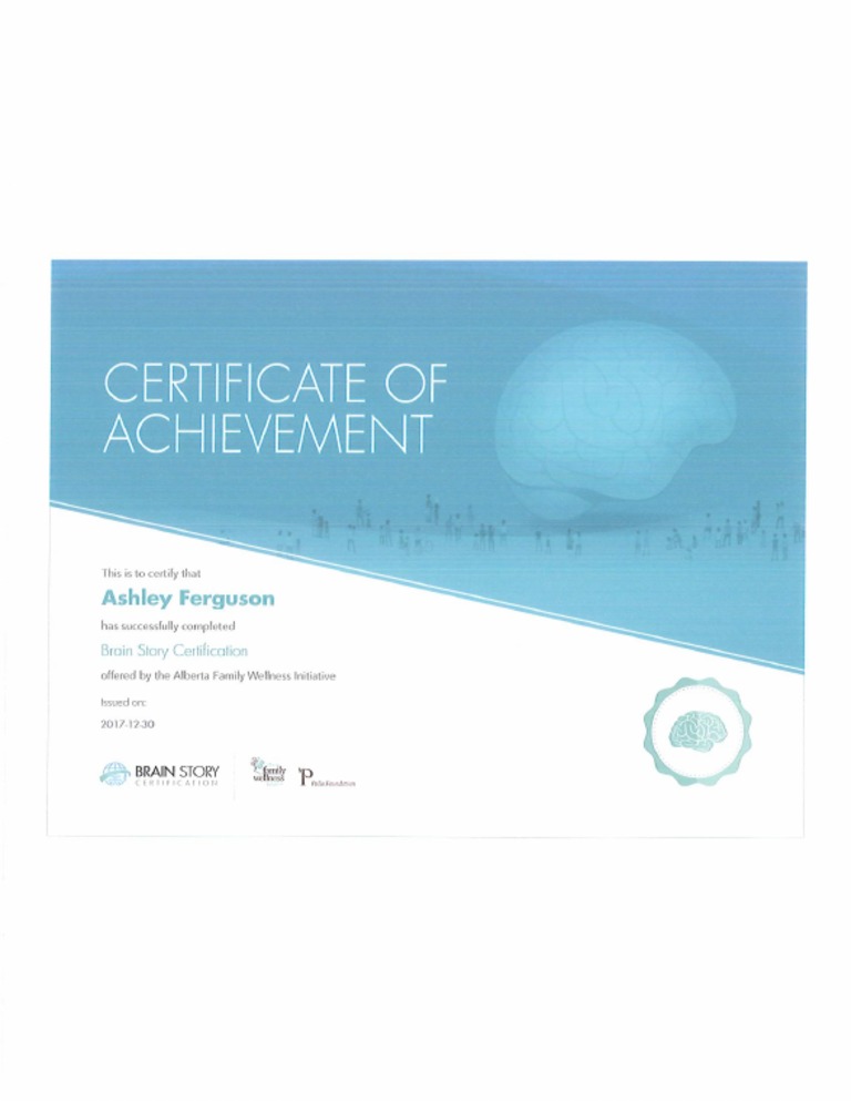 Brain Story Certificate 2017 Scanned | PDF